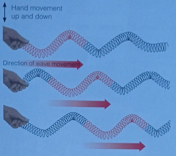 Transverse And Longitudinal Waves Revision Science